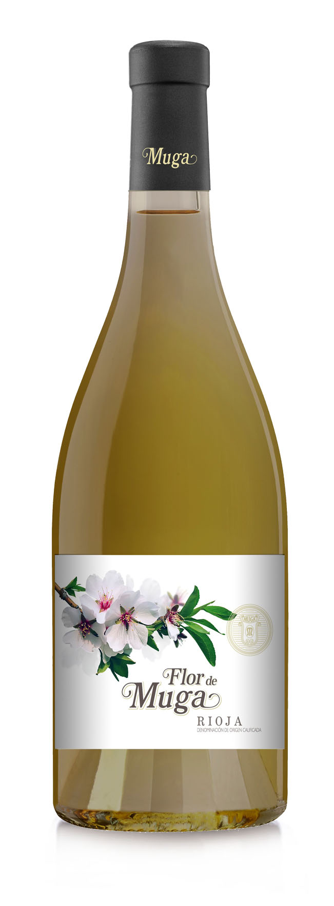 Single Wine | Jorge Ordóñez Selections