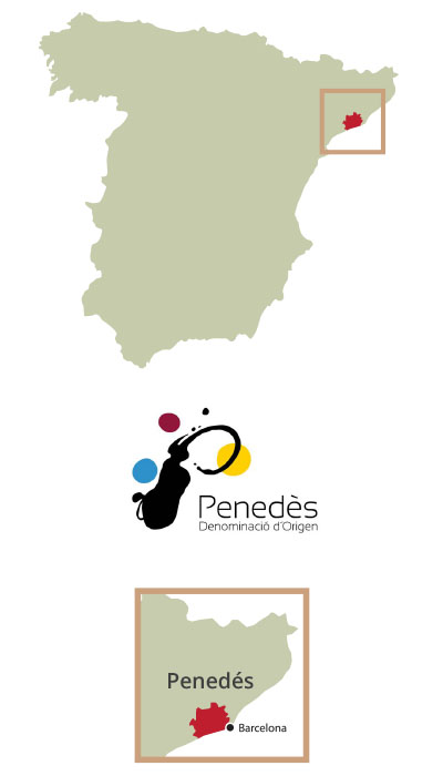 Single Wine | Jorge Ordóñez Selections